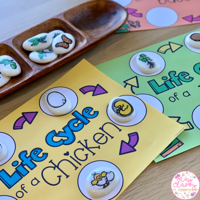 Life Cycles Investigation Pack | Stones & Mats - Stay Classy Classrooms