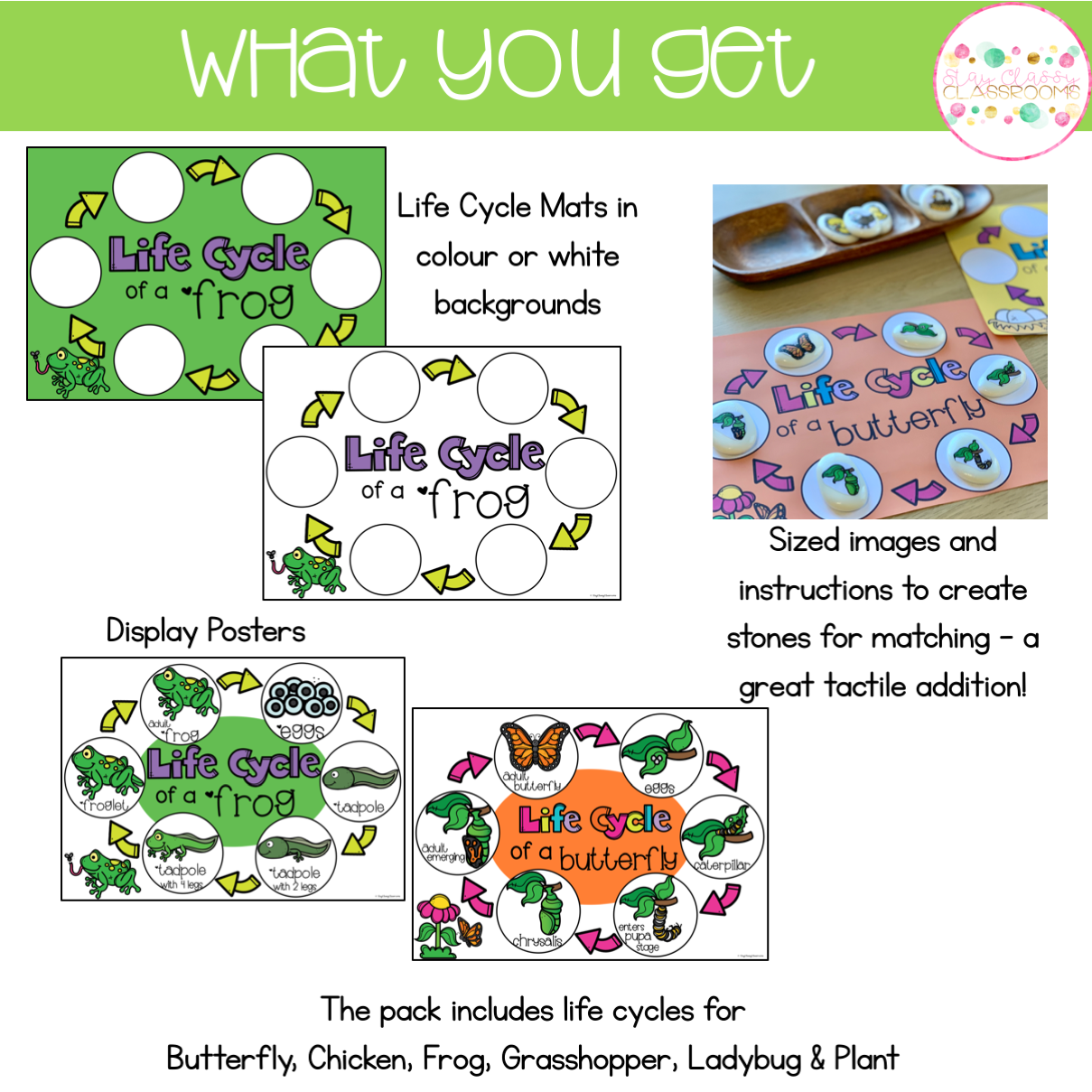 Life Cycles Investigation Pack | Stones & Mats - Stay Classy Classrooms