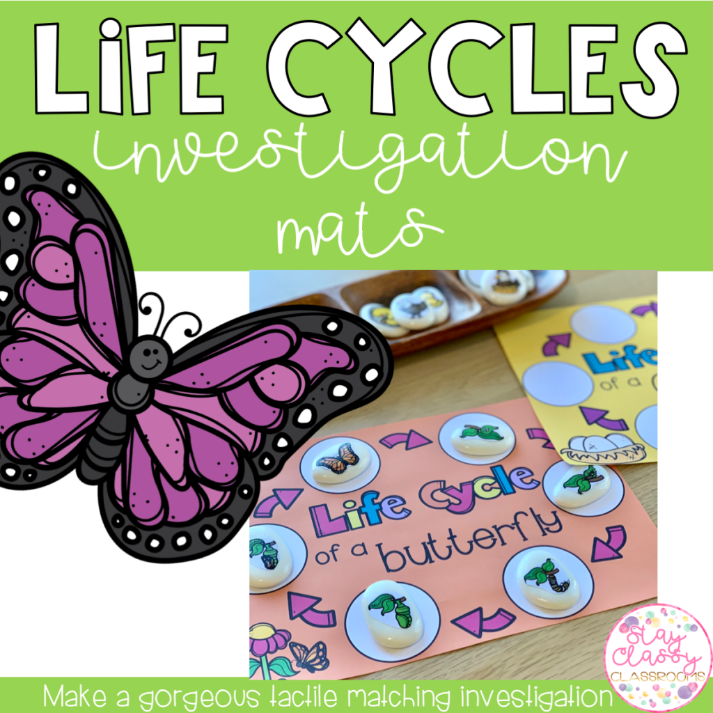 Life Cycles Investigation Pack | Stones & Mats - Stay Classy Classrooms