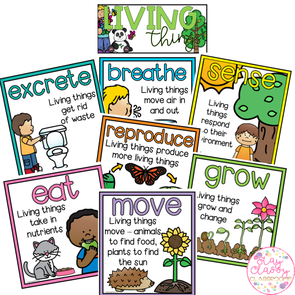 Living and Non-Living Sorting Pack - Stay Classy Classrooms