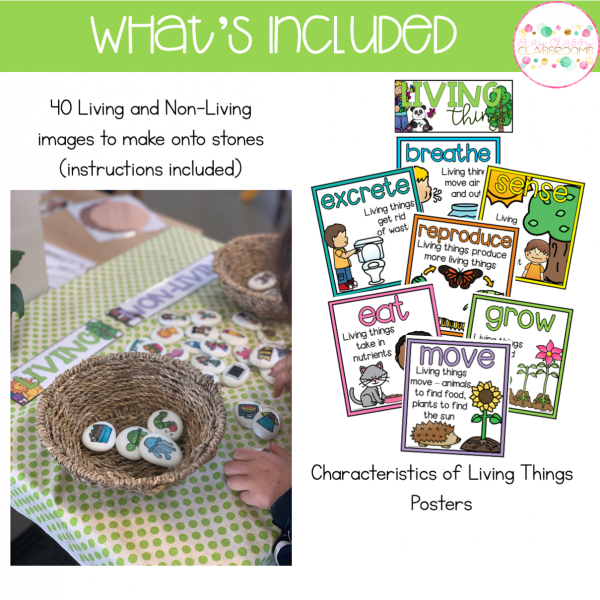 Living and Non-Living Sorting Pack - Stay Classy Classrooms