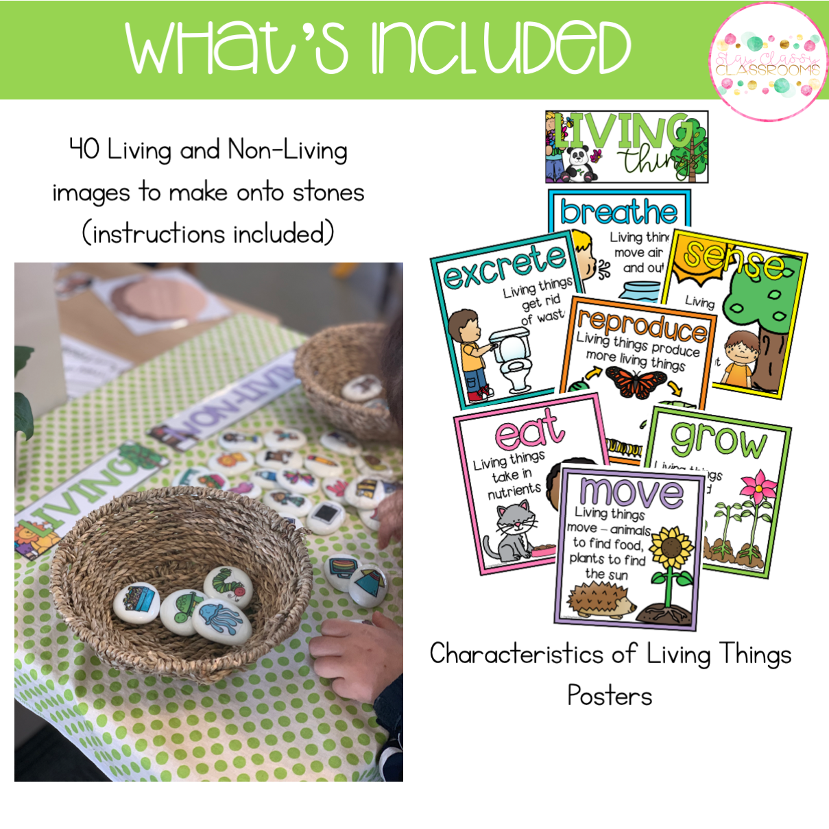 Living and Non-Living Sorting Pack - Stay Classy Classrooms