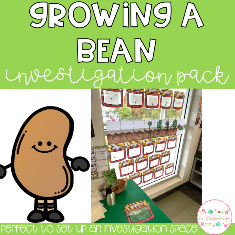 Growing a Bean Investigation Pack - Stay Classy Classrooms