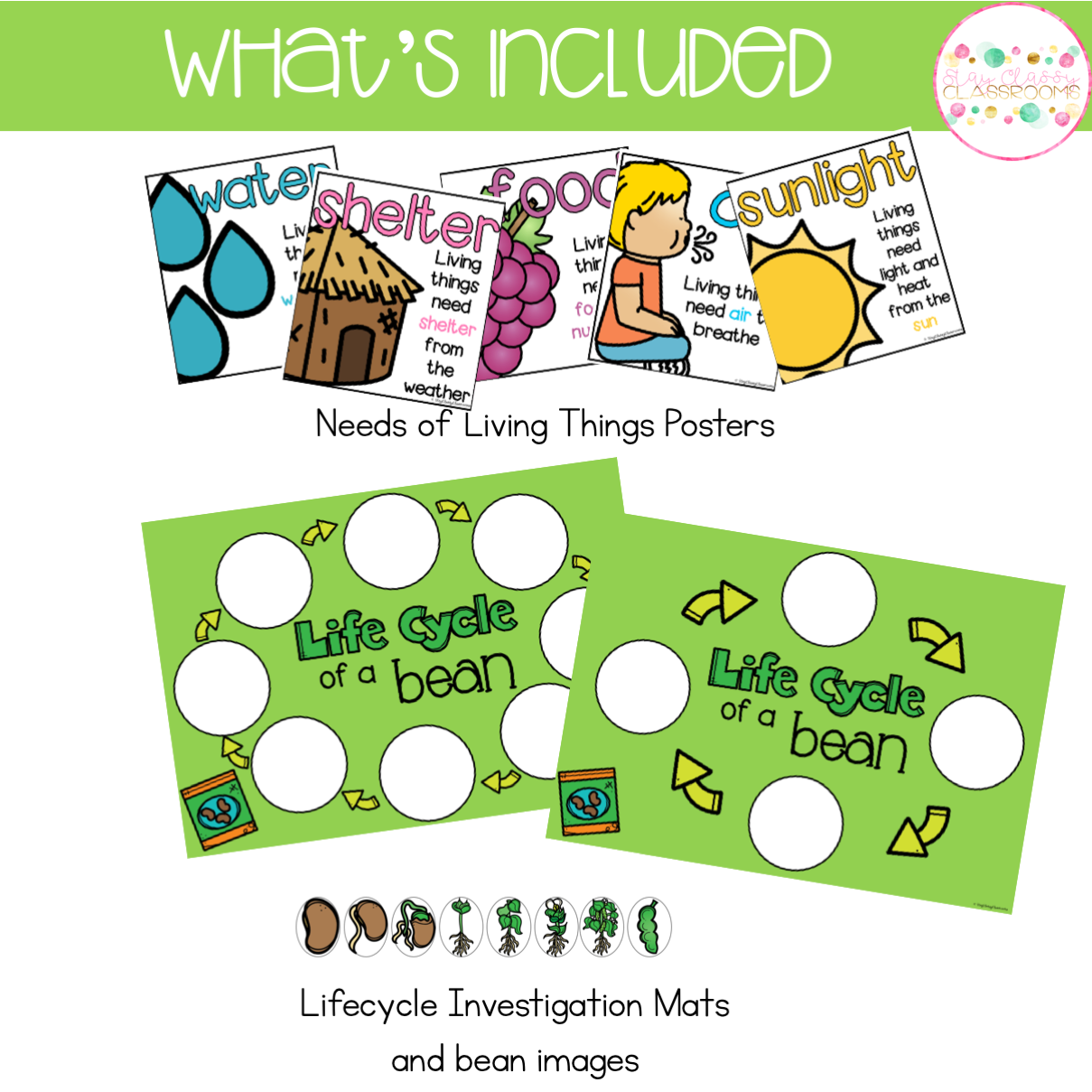 Growing a Bean Investigation Pack - Stay Classy Classrooms