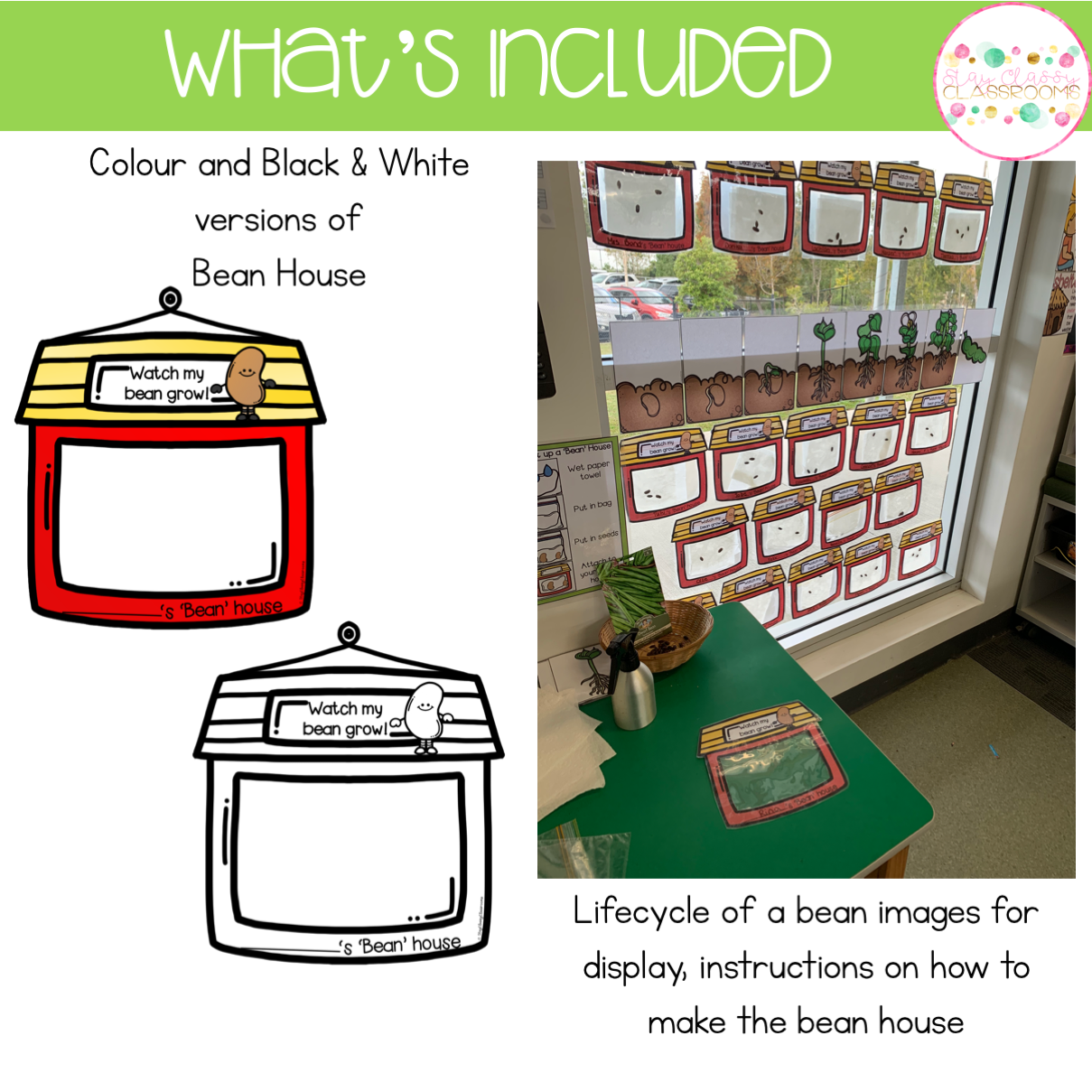 Growing a Bean Investigation Pack - Stay Classy Classrooms