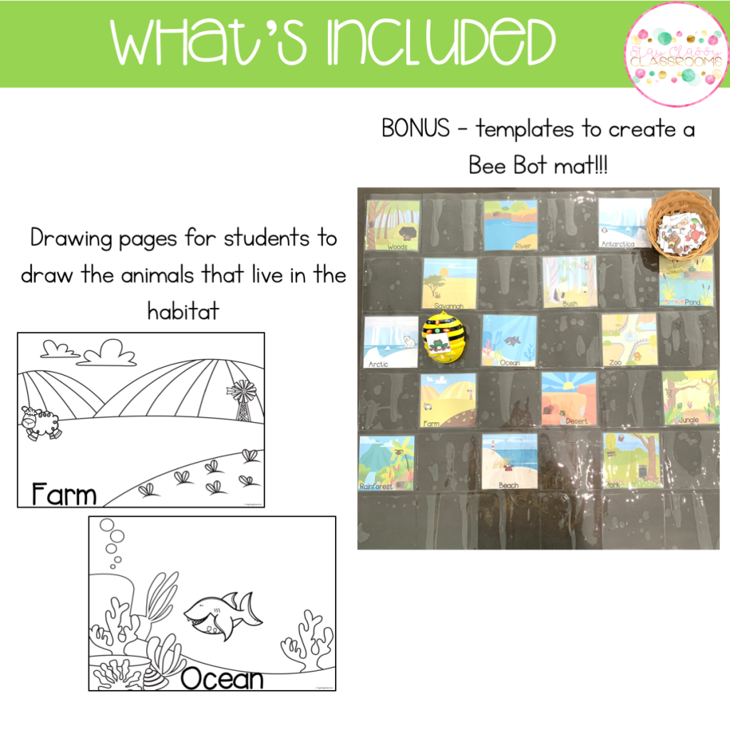 Habitats Stones Match - Investigation Pack - Stay Classy Classrooms