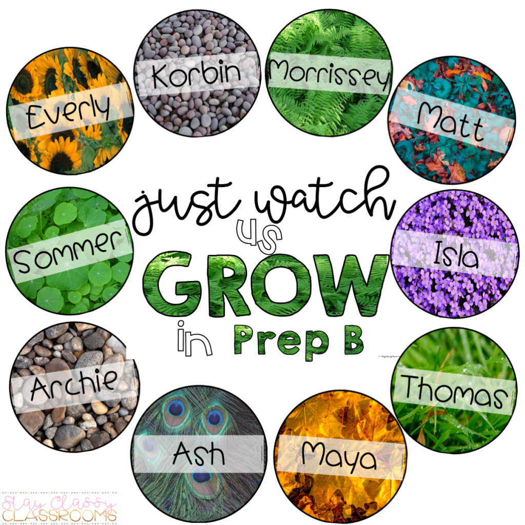 Nature Display Bundle - QUEENSLAND FONTS - Stay Classy Classrooms