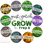 Nature Display Bundle - SOUTH AUSTRALIAN FONTS - Stay Classy Classrooms