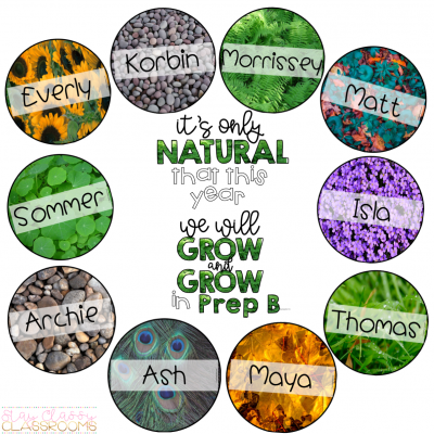Nature Display Bundle - QUEENSLAND FONTS - Stay Classy Classrooms