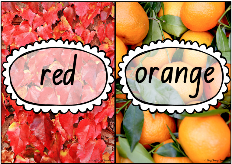 Colour Posters - Nature Photos - Stay Classy Classrooms