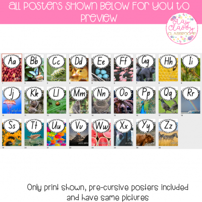 Alphabet Posters - Nature Photos - Stay Classy Classrooms