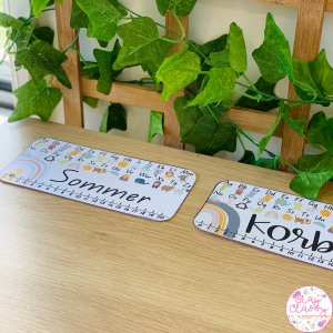 Neutral Boho Rainbow Editable Desk Plates - Stay Classy Classrooms