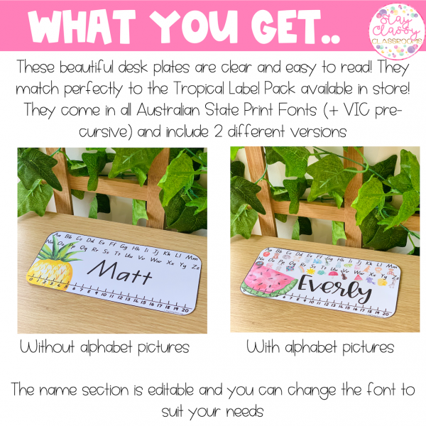Tropical Editable Desk Plates - Stay Classy Classrooms