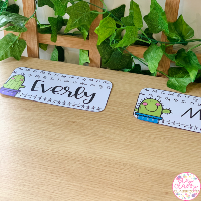 Cactus Editable Desk Plates - Stay Classy Classrooms