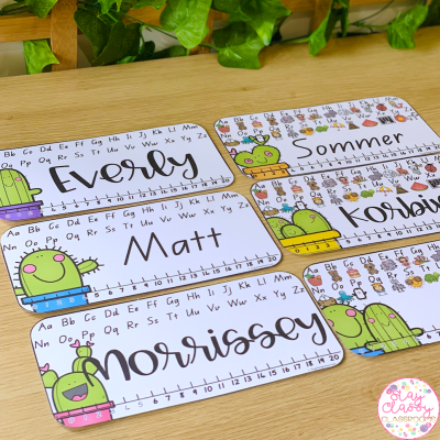Cactus Editable Desk Plates - Stay Classy Classrooms