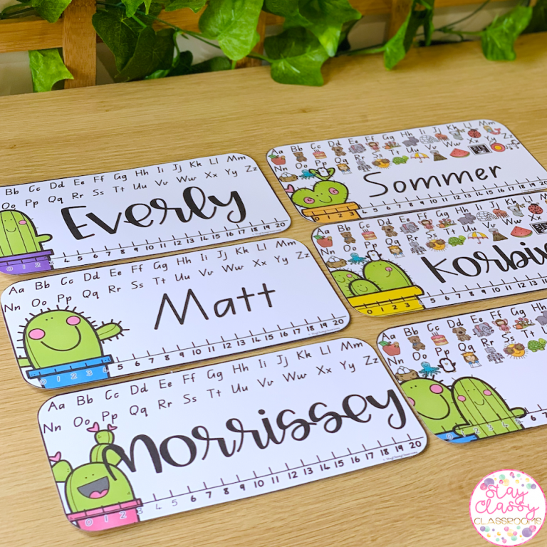 Cactus Editable Desk Plates - Stay Classy Classrooms