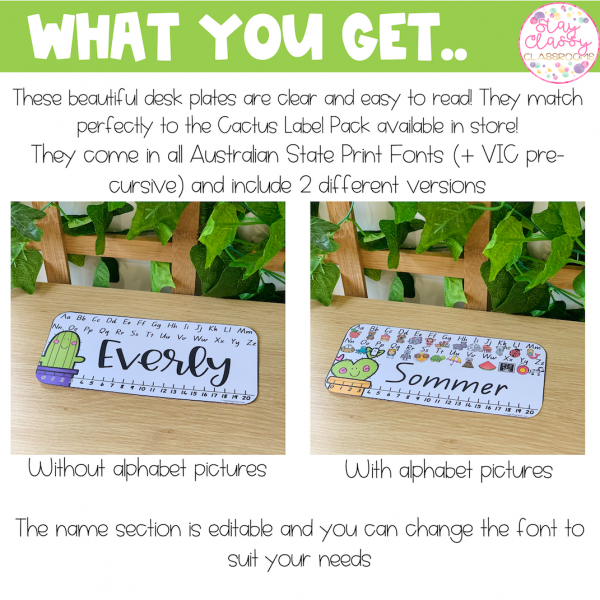 Cactus Editable Desk Plates - Stay Classy Classrooms