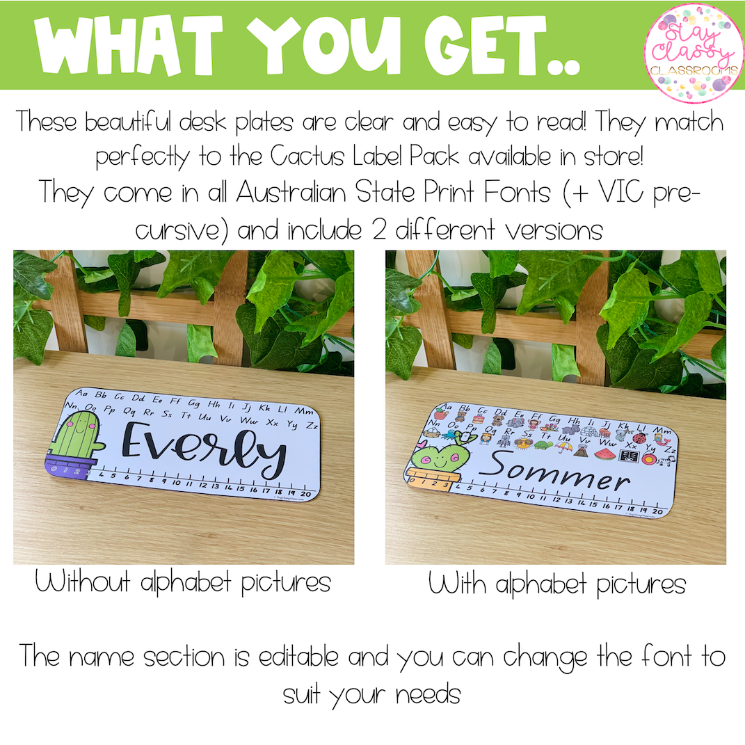 Cactus Editable Desk Plates - Stay Classy Classrooms