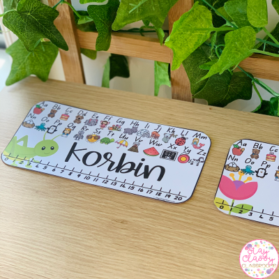 Bugs Editable Desk Plates - Stay Classy Classrooms
