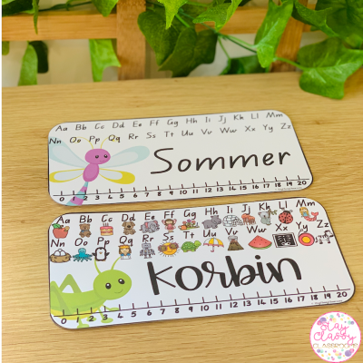 Bugs Editable Desk Plates - Stay Classy Classrooms