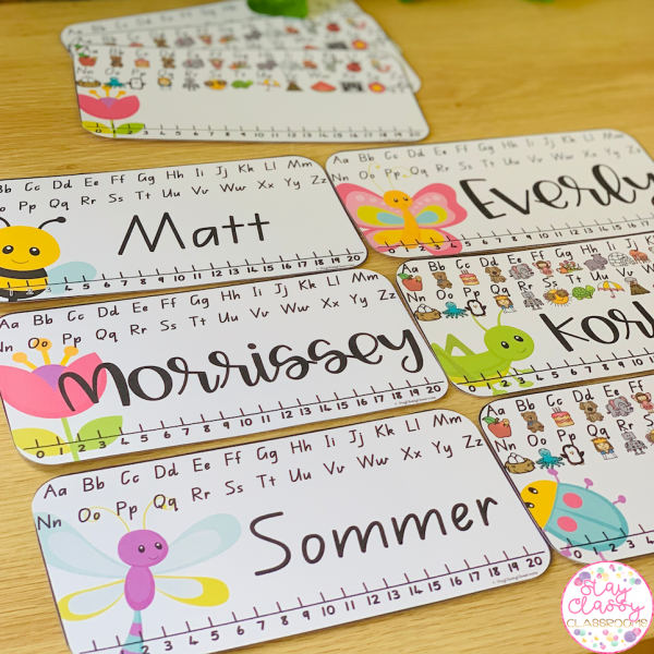 Bugs Editable Desk Plates - Stay Classy Classrooms