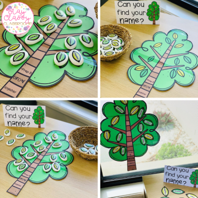 Name Recognition - Stay Classy Classrooms