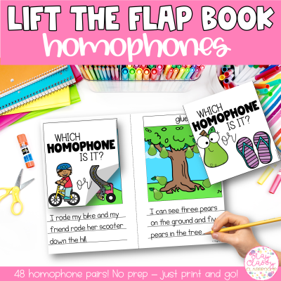 Homophones Lift the Flap Book - Which Homophone? - Stay Classy Classrooms