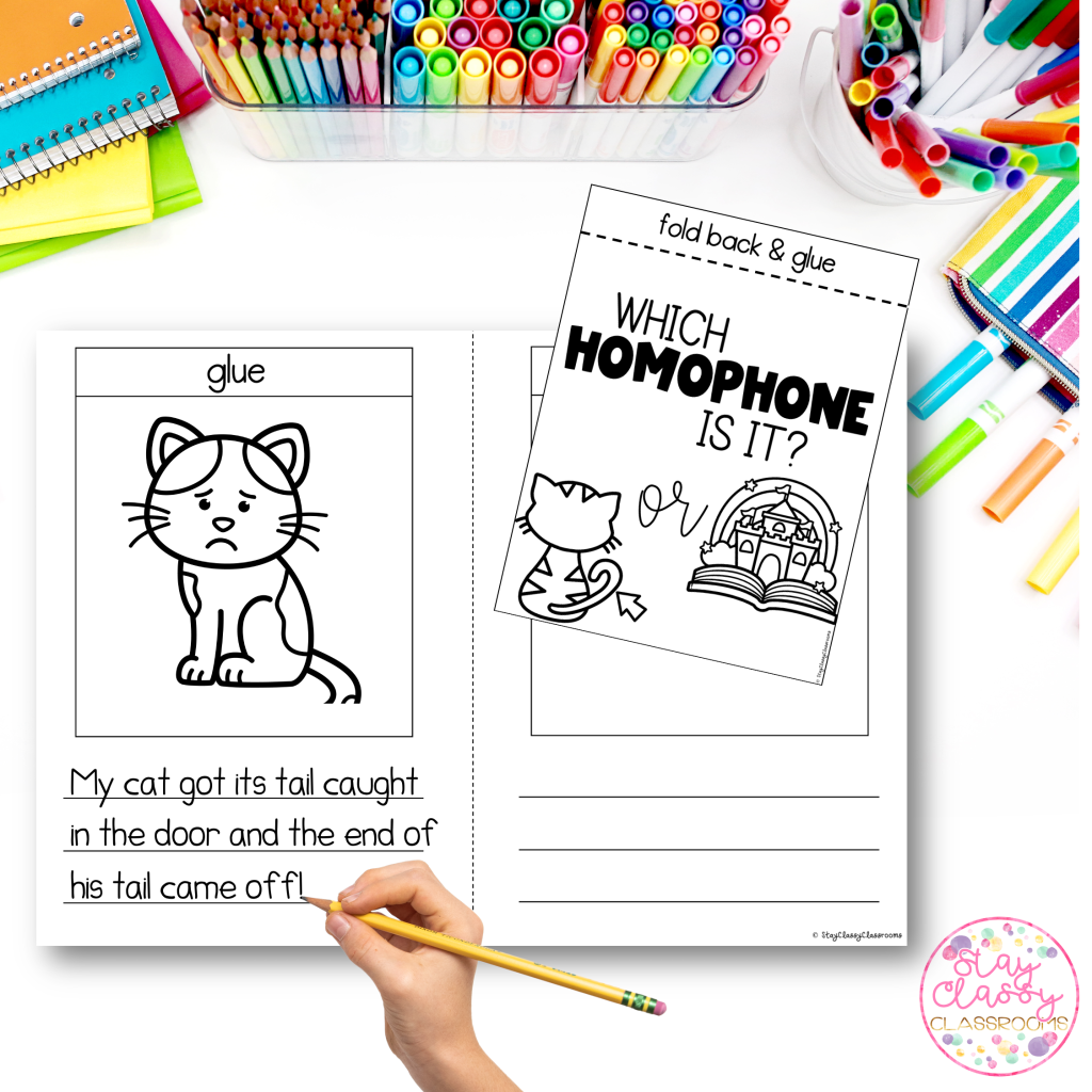 Homophones Lift the Flap Book - Which Homophone? - Stay Classy Classrooms