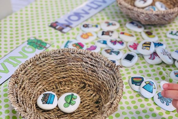 Stay Classy Classrooms - Hands-on resources to make learning fun