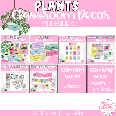 Editable Daily Visual Timetable Cards - Rainbow - Stay Classy Classrooms