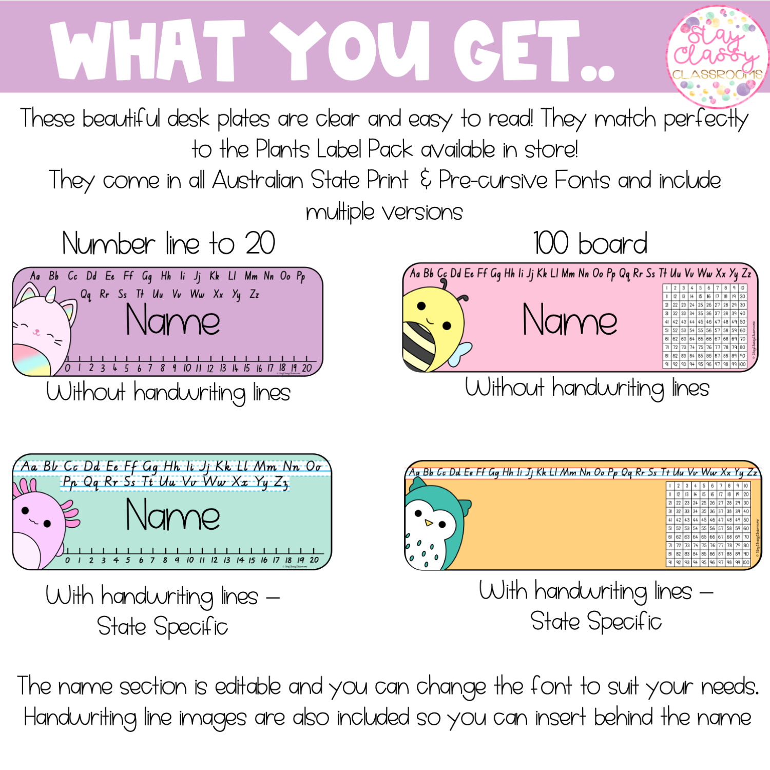 SQUISHIES | Editable Desk Plates - Stay Classy Classrooms